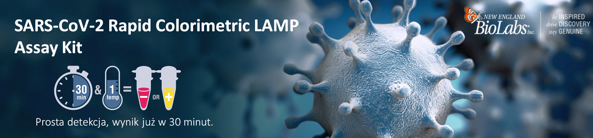 SARS-CoV-2 Rapid Colorimetric LAMP Assay Kit – Lab-JOT® Sp. z o.o.