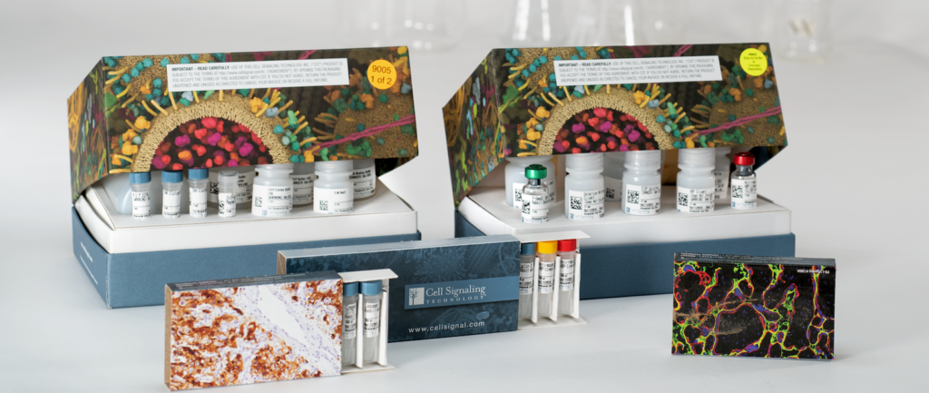 CST Antibody Sampler Kits – Lab-JOT® Ltd. Sp.z o.o.